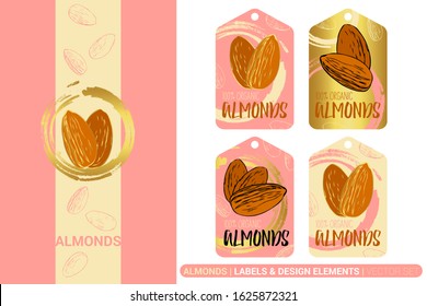 Brazil Nuts Colorful Label Set Raw Stock Vector (Royalty Free) 1392748190