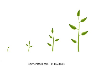 Creative Vector Illustration Growth Green Tree Stock Vector (Royalty ...