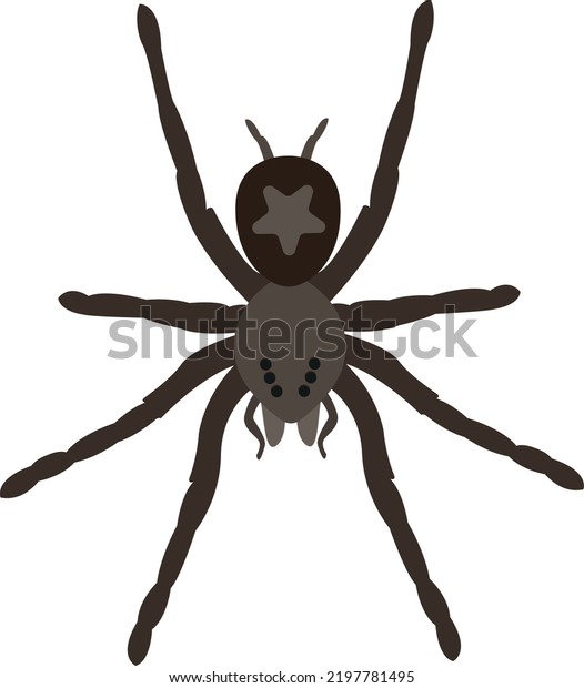 Creepy Spider Vector Art Isolated: เวกเตอร์สต็อก (ปลอดค่าลิขสิทธิ์ ...