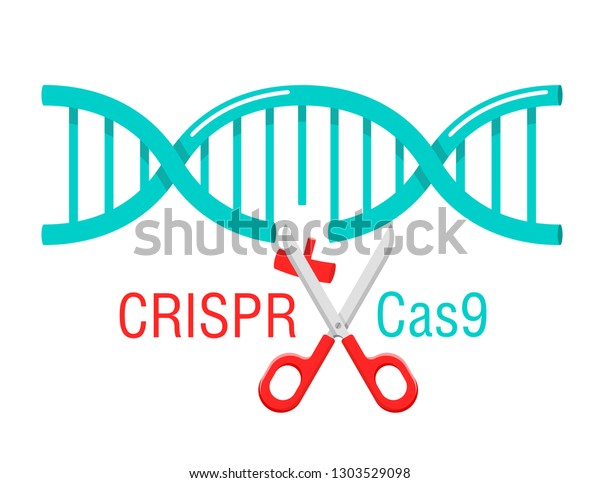 Crispr Cas9 Gene Editing System Dna Stock Vector (Royalty Free ...