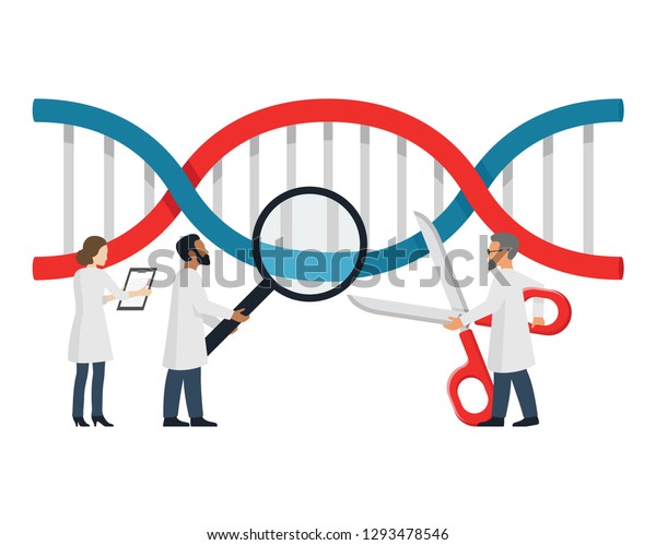 Crispr Cas9 Group Scientists Conduct Experiment Stock Vector (Royalty ...
