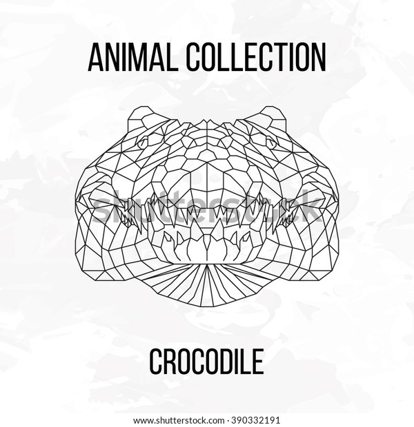 Crocodile Head Geometric Lines Silhouette Isolated : image vectorielle ...