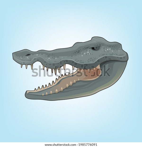 Crocodile Head Vector Illustration Cartoon Symbol Stock Vector (Royalty ...