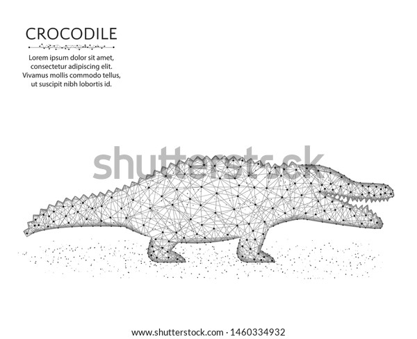 Crocodile Low Poly Design African Animal: เวกเตอร์สต็อก (ปลอดค่า ...