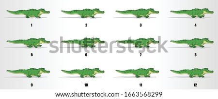 Crocodile Animations | Free download on ClipArtMag
