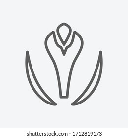 Crocus Icon Line Symbol Isolated Vector Stock Vector (Royalty Free ...