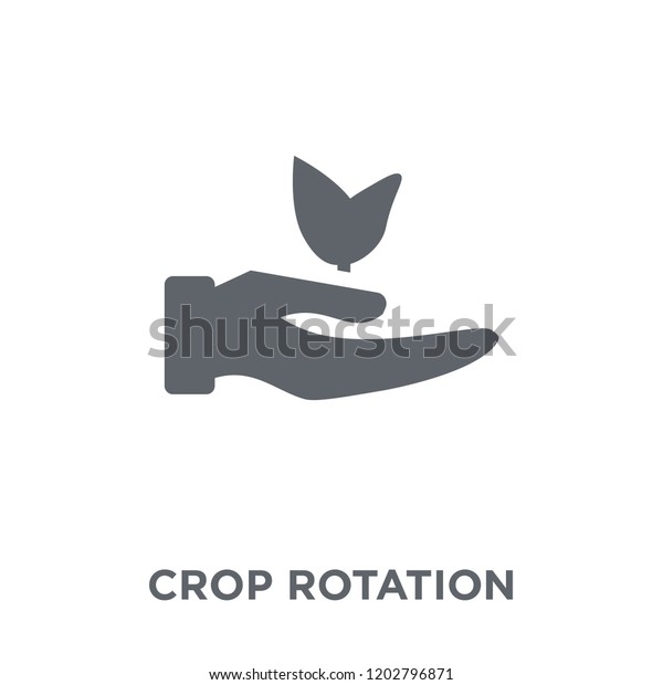 Crop Rotation Icon Crop Rotation Design Stock Vector (Royalty Free ...