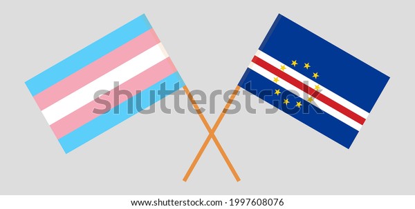 Crossed Flags Transgender Pride Cape Verde Stock Vector (Royalty Free ...