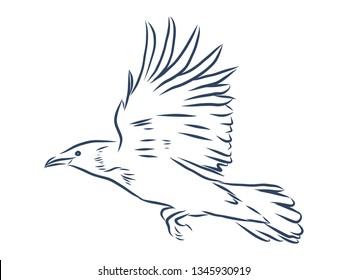 Crow Flight Contour Vector Illustration Stock Vector (Royalty Free ...