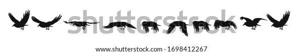 Crow Rook Black Flying Raven Sequences Stock Vector (Royalty Free ...