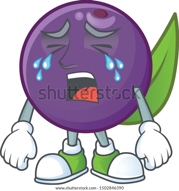 Crying Acai Berries Cartoon Character Mascot Stock Vector (Royalty Free ...