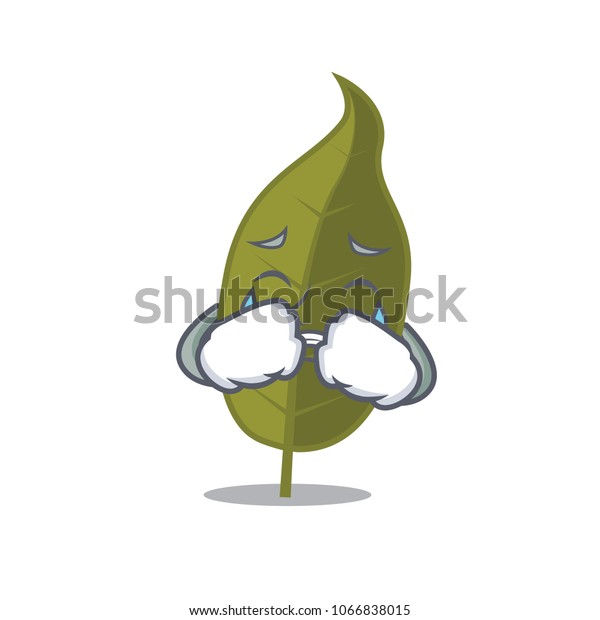 Crying Bay Leaf Mascot Cartoon Stock Vector (Royalty Free) 1066838015