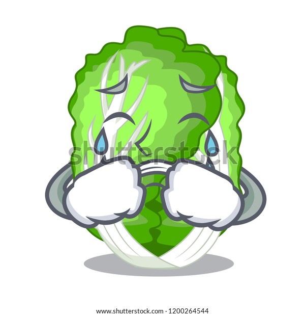 Crying Cartoon Fresh Chinese Cabbage Vegetable Stock Vector (Royalty ...