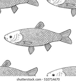 Fish Zander Drawing 스톡 일러스트 523564336 | Shutterstock