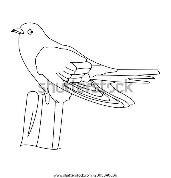 Cuckoo Line Drawing Clip Art Stock Vector (Royalty Free) 2003340836 ...
