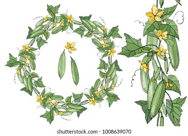 Cucumbers Round Garland Enbless Border Stock Vector (Royalty Free ...