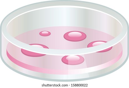 7,811 Cell Culture Dish Images, Stock Photos & Vectors | Shutterstock