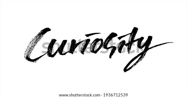 Curiosity Calligraphy Typography Hand Write Brush Stock Vector (Royalty ...