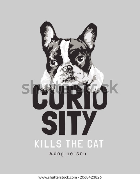 Curiosity Kills Cat Slogan Curious Dog Stock Vector (Royalty Free ...