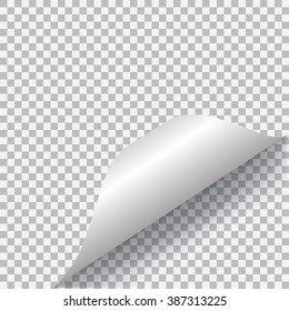 Curled Corner Paper Shadow On Transparent Stock Vector (Royalty Free ...