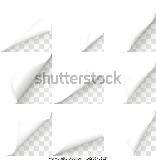 Curled Corners Paper Sheet Edges Vector Stock Vector (Royalty Free ...