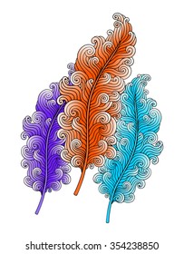 Curly Feather Collection Vector Illustration Isolated Stock Vector ...