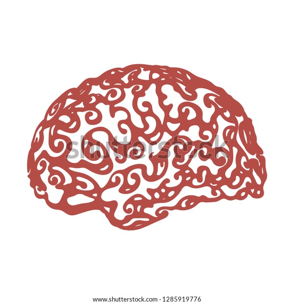 Curly Illustration Human Brain Red Outline Stock Vector (Royalty Free ...