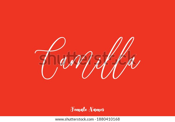Cursive Handwritten Calligraphy Text Female Name: เวกเตอร์สต็อก (ปลอด ...