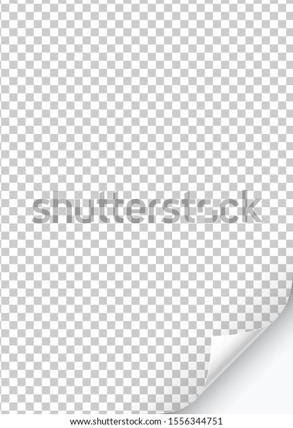 Curved Page Corner Shadow On Transparent Stock Vector (Royalty Free ...