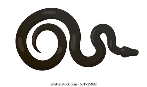 188 Snake top view isolated Stock Illustrations, Images & Vectors ...