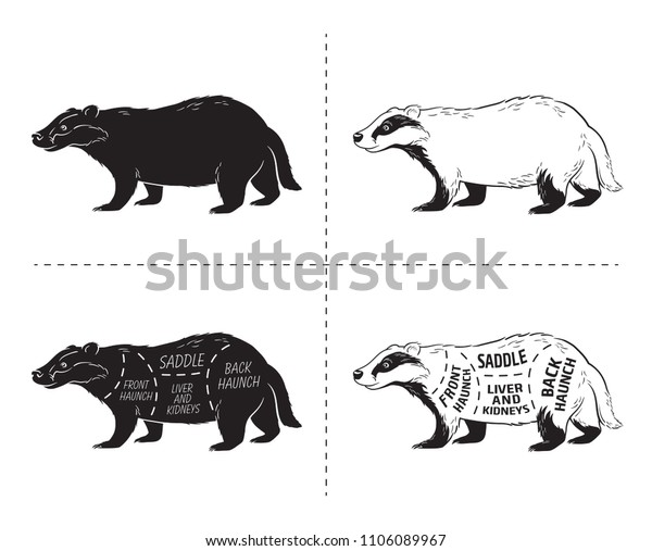 Cut Badger Set Poster Butcher Diagram Stock Vector (Royalty Free ...