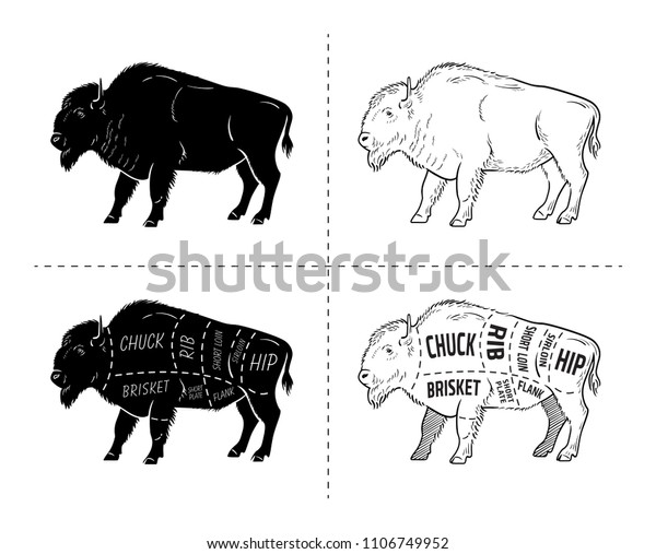 Cut of Bison set. Poster Butcher diagram - Bison. Vintage typographic ...