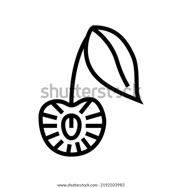 Cut Cherry Line Icon Vector Cut Stock Vector (Royalty Free) 2192503983 ...
