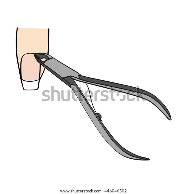 Cut Cuticle Stock Vector (Royalty Free) 446046502 | Shutterstock