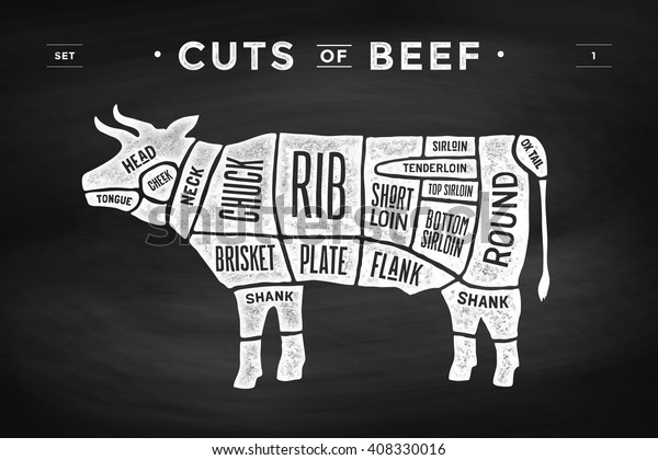 Cắt thịt bộ. Sơ đồ và sơ đồ Poster Butcher - Bò. Kiểu chữ cổ điển vẽ ...