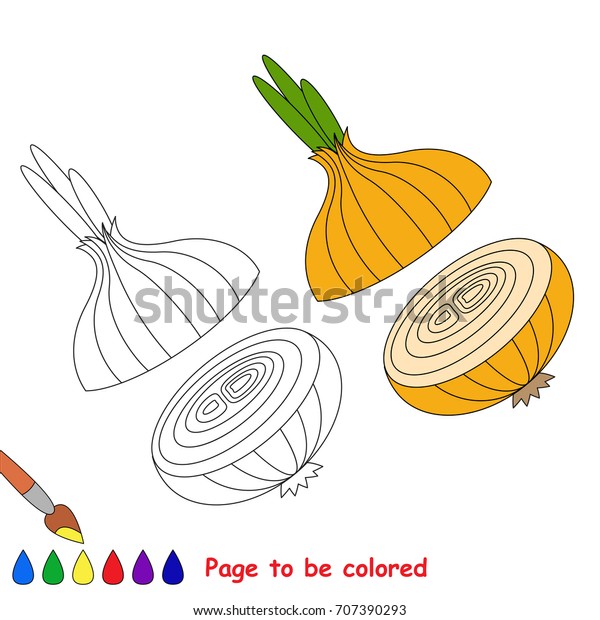 Cut Onion Be Colored Coloring Book Stock Vector (Royalty Free ...