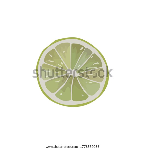 Cut Section Lime Stock Vector (Royalty Free) 1778532086 | Shutterstock