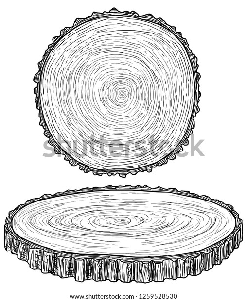 Cut Tree Illustration Drawing Engraving Ink: เวกเตอร์สต็อก (ปลอดค่า ...
