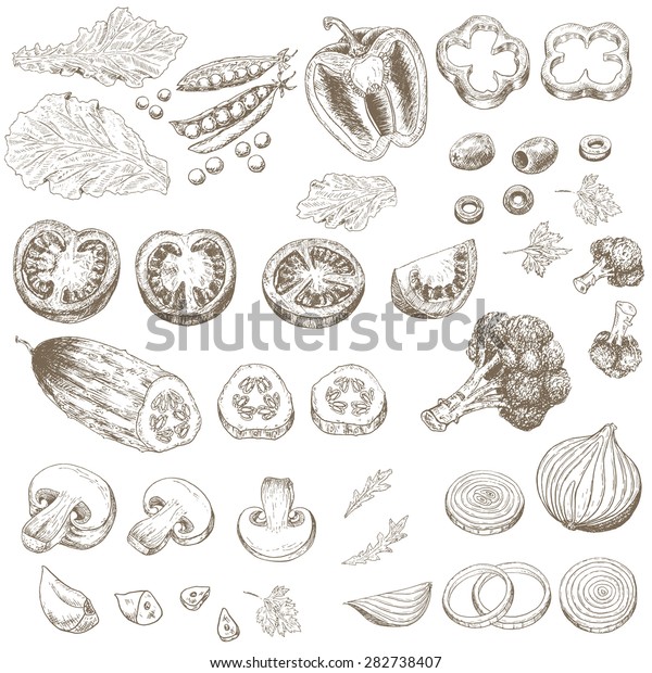 Cut Vegetables Hand Drawn Set Food Stock Vector (Royalty Free ...