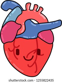 Cute Anatomical Heart Stock Vector (Royalty Free) 1255822435 | Shutterstock