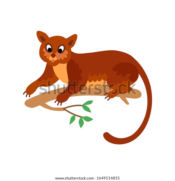 Cute Animals Tree Kangaroo Illustrations Children Stock Vector (Royalty ...