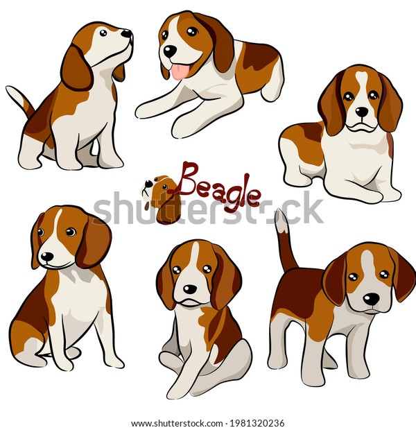 Cute Beagle Dog Doodle Collection Different Stock Vector (Royalty Free ...