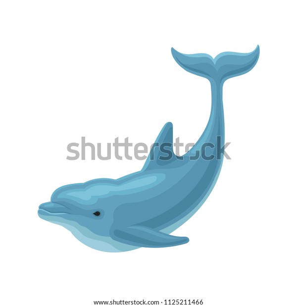 Cute Blue Dolphin Vector Illustration On Stock Vector (Royalty Free ...