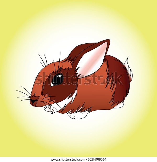 Cute Brown Cartoon Rabbit White Circle Stock Vector (Royalty Free ...