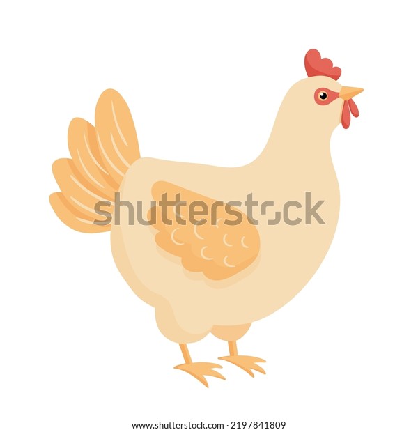 Cute Cartoon Chicken Vector Illustration Isolated Stock Vector (Royalty ...