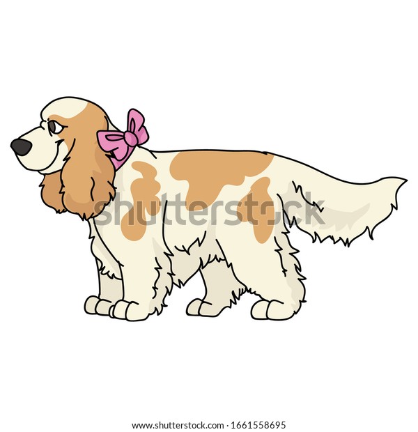 Cute Cartoon Cocker Spaniel Girly Bow: เวกเตอร์สต็อก (ปลอดค่าลิขสิทธิ์ ...