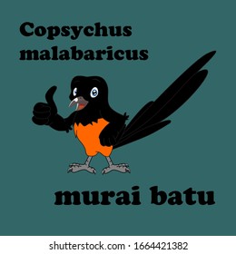 Cute Cartoon Copsychus Malabaricus Stock Vector (Royalty Free ...