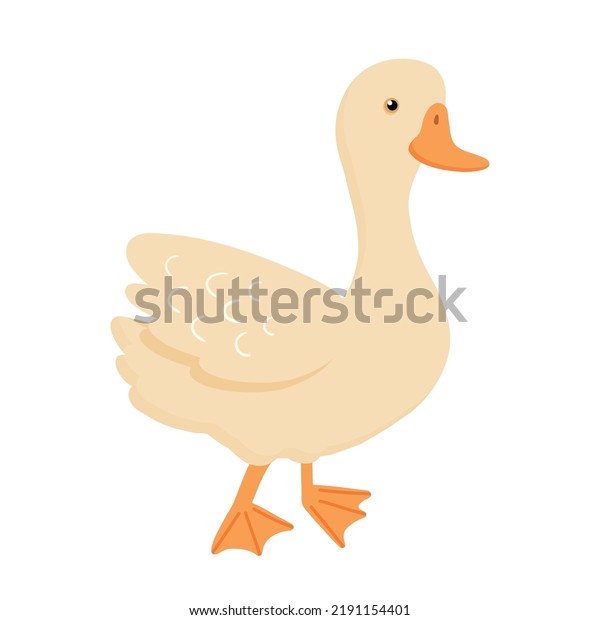 Cute Cartoon Duck Standing Vector Illustration Stock Vector (Royalty ...