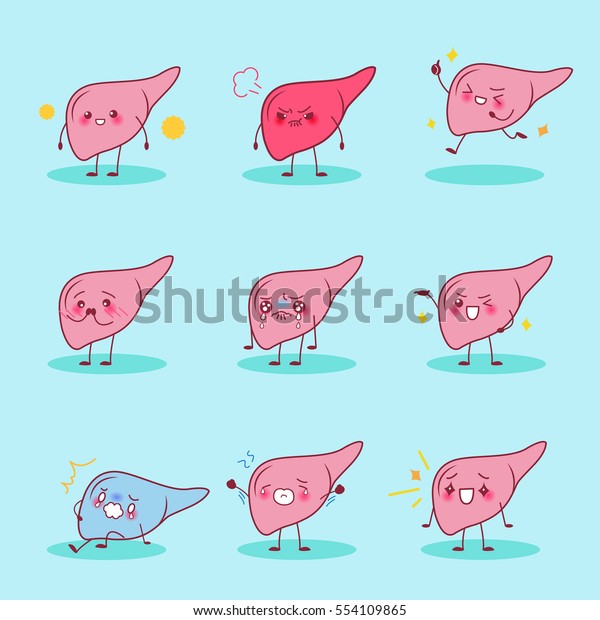 Cute Cartoon Liver Express All Kinds Stock Vector (Royalty Free ...