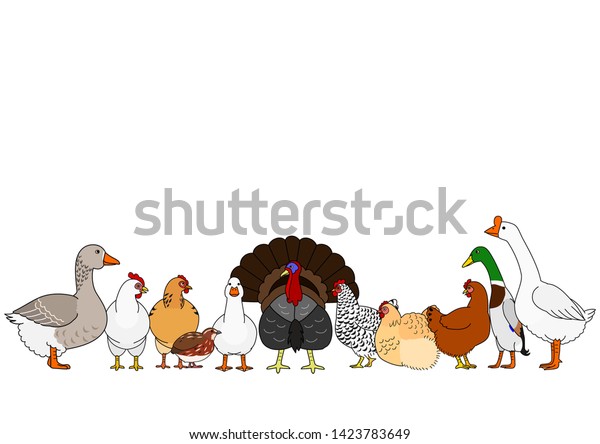 Cute Cartoon Poultry Row Stock Vector (Royalty Free) 1423783649 ...